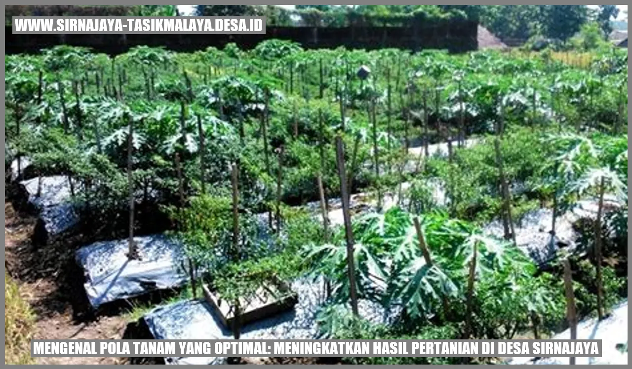 Mengenal Pola Tanam yang Optimal: Meningkatkan Hasil Pertanian di Desa ... Mengenal Pola Tanam yang Optimal: Meningkatkan Hasil Pertanian di Desa ...